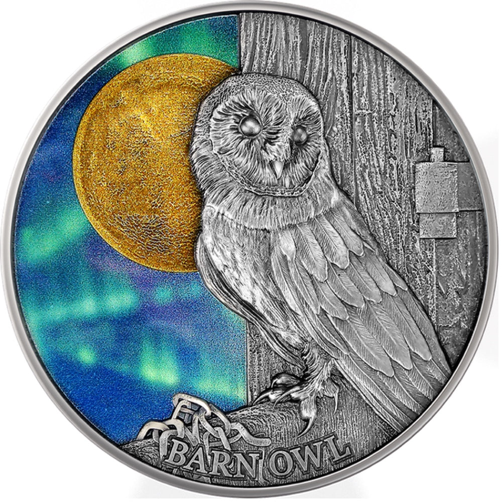 2024 Republic of Cameroon 1/2 oz Northern Lights Barn Owl Antique Silv – ZM